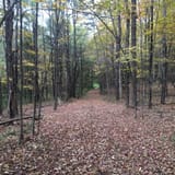 Capen Hill Nature Sanctuary, Massachusetts - 194 Reviews, Map | AllTrails