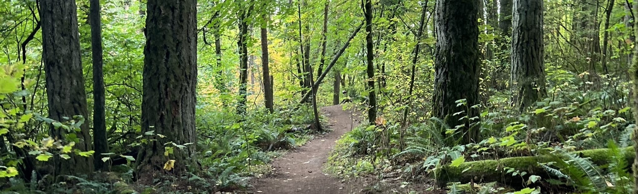 Ascension Trail: 167 Reviews, Map - Oregon | AllTrails