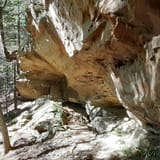 Alcorn Branch Falls, Kentucky - 23 Reviews, Map | AllTrails