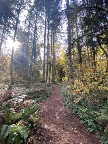 10 Best Trails and Hikes in Maple Valley | AllTrails