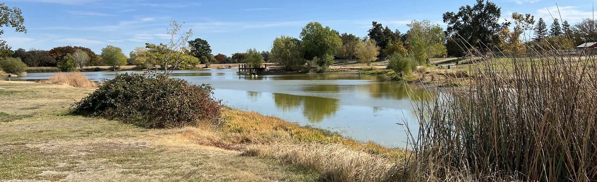 Gibson Ranch Regional Park Loop Trail : 253 Reviews, Map - California ...