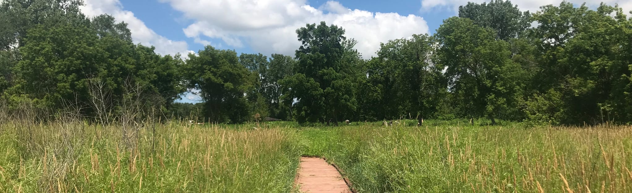 Helen Rohner Children's Fishing Park, Wisconsin - 11 Reviews, Map ...