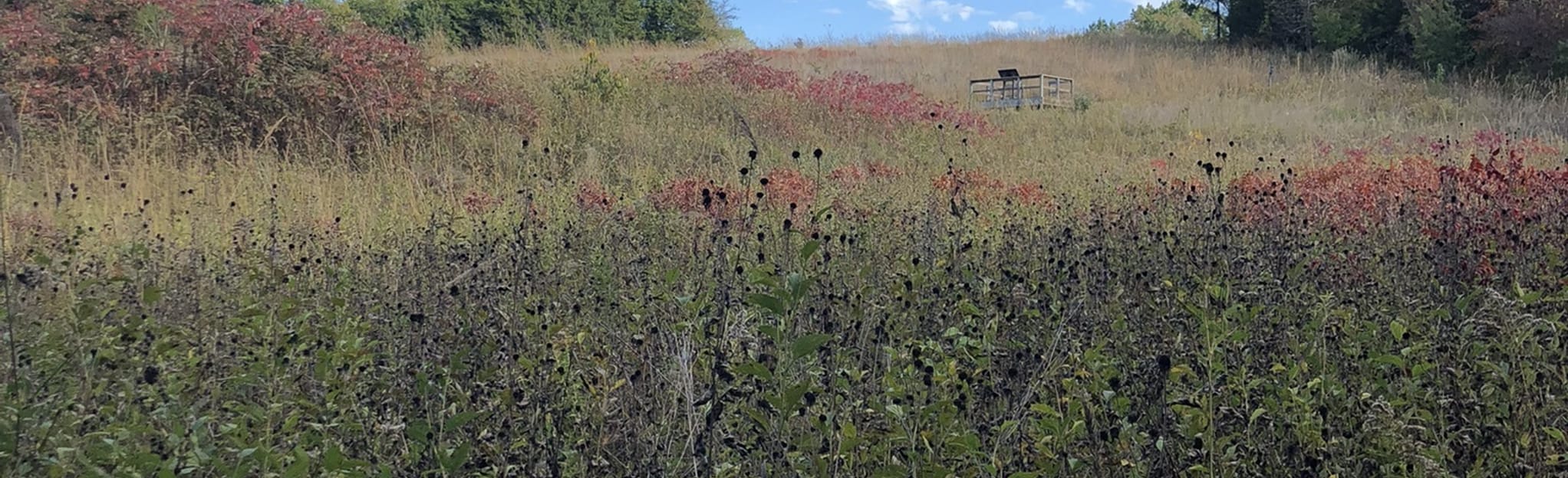 Runge Conservation Area Loop: 214 Reviews, Map - Missouri | AllTrails