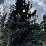 Skaguay Reservoir, Colorado - 25 Reviews, Map | AllTrails