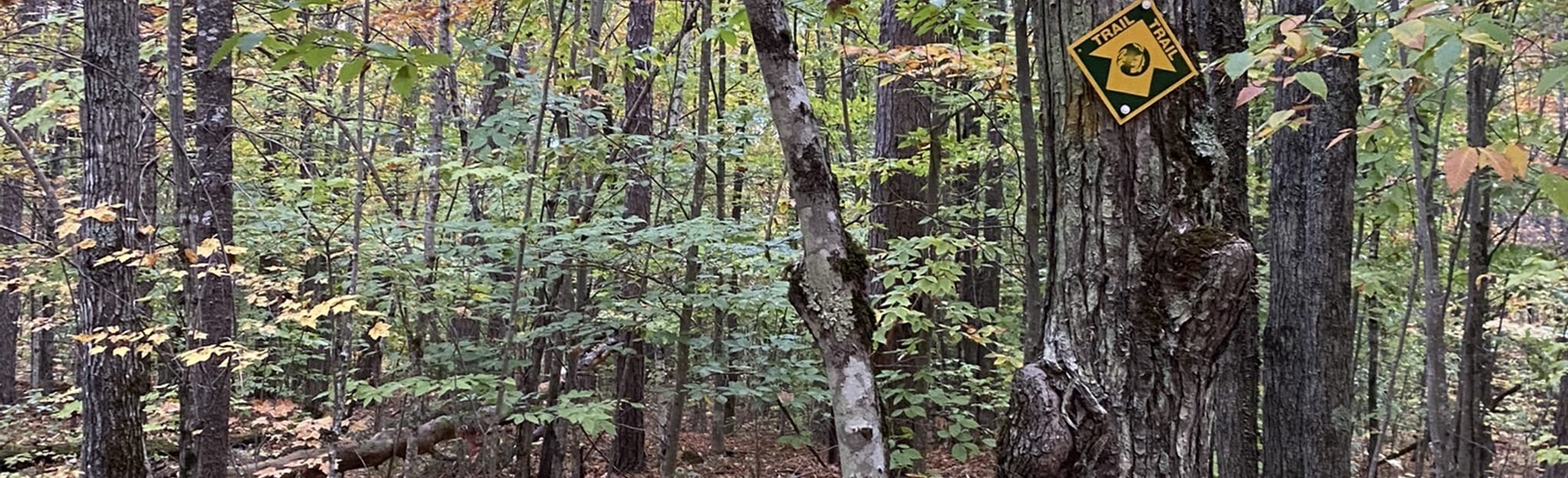 Cooks Pond and Cooks River Loop: 112 Reviews, Map - New Hampshire ...