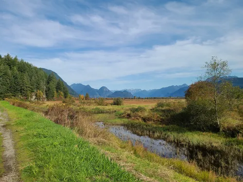 Best Forest Trails in Port Coquitlam | AllTrails