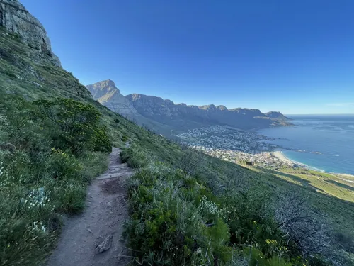 Table Mountain National Park Map | Cabinets Matttroy