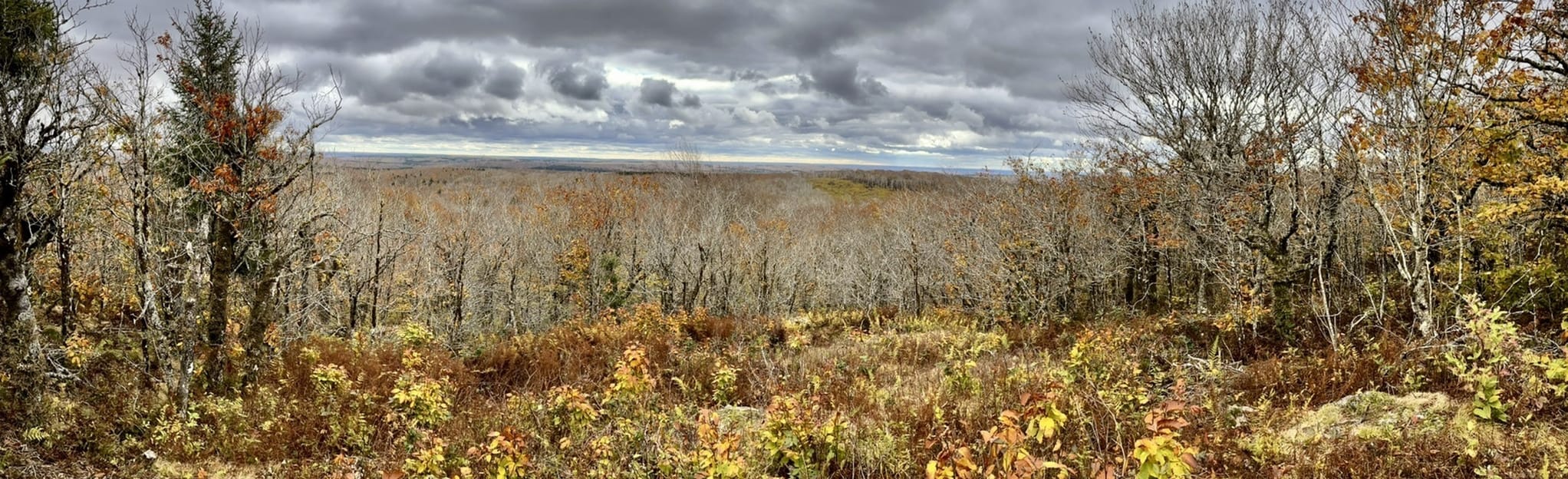 Rogart Mountain Hiking Trail: 213 Reviews, Map - Nova Scotia, Canada ...