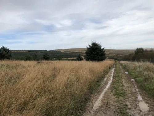 Best Historic Site Trails in Falstone | AllTrails