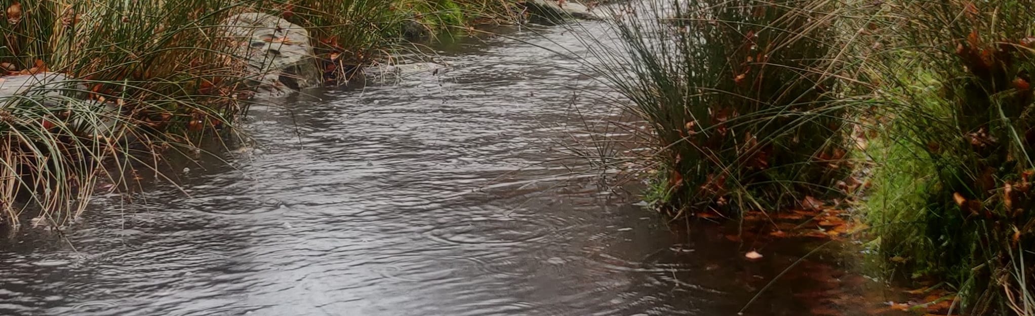 Snake Path Circular: 89 foto's - Derbyshire, Engeland | Wandelen ...