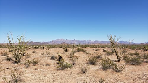 2023 Best 10 Trails and Hikes in Yuma | AllTrails