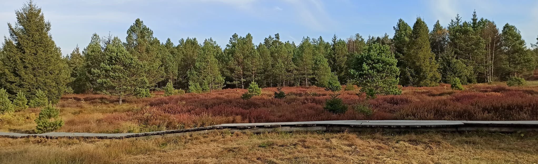 Torfowisko Tarnawa Nature Trail: 1 Reviews, Map - Subcarpathian ...