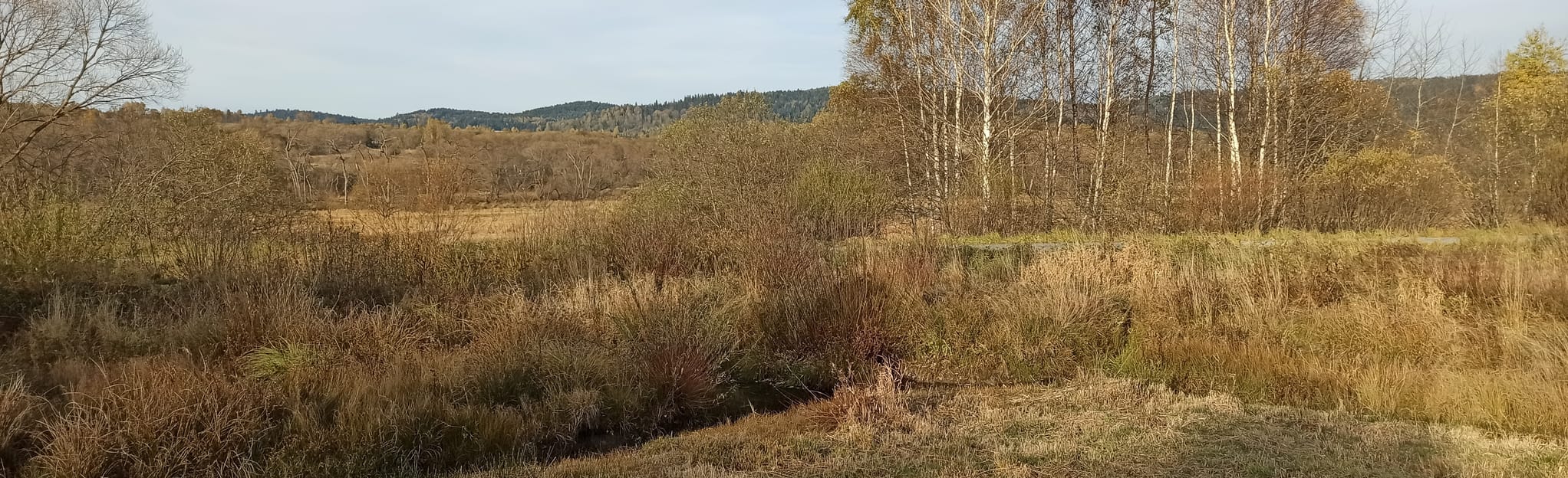 Tarnawa Niżna - Bukowiec: 9 Fotos - Woiwodschaft Karpatenvorland, Polen ...