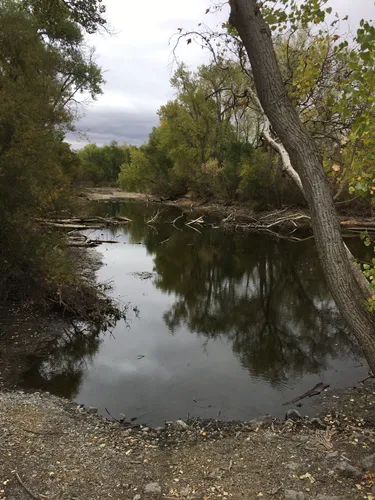 Best Hikes and Trails in Shadow Cliffs Regional Recreation Area | AllTrails