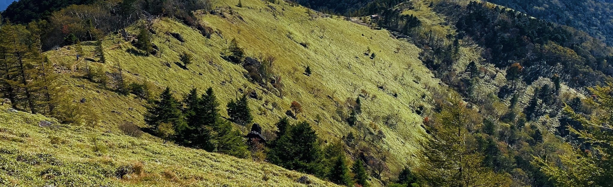 Mount Daibosatsu Loop: 11 Reviews, Map - Yamanashi, Japan | AllTrails