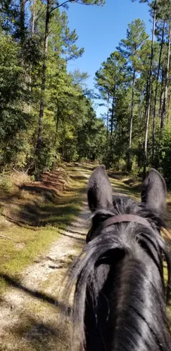 Best Hikes and Trails in Broxton Bridge Plantation | AllTrails