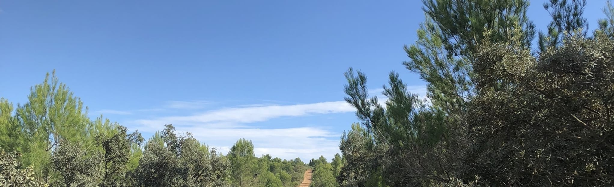 Mirador de Rebalsadors vía Senda del Berro - Valencia, Spain | AllTrails