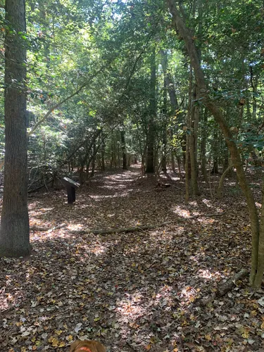 Best Hikes and Trails in Barnes Woods Nature Preserve | AllTrails
