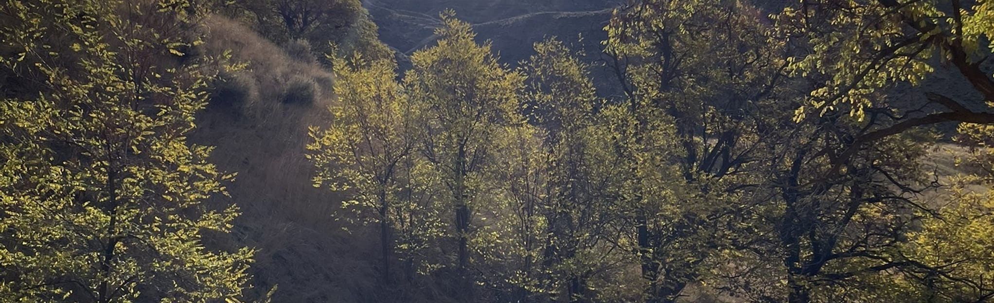 Five Mile Gulch, Watchman, and Three Bears Loop - Idaho | AllTrails