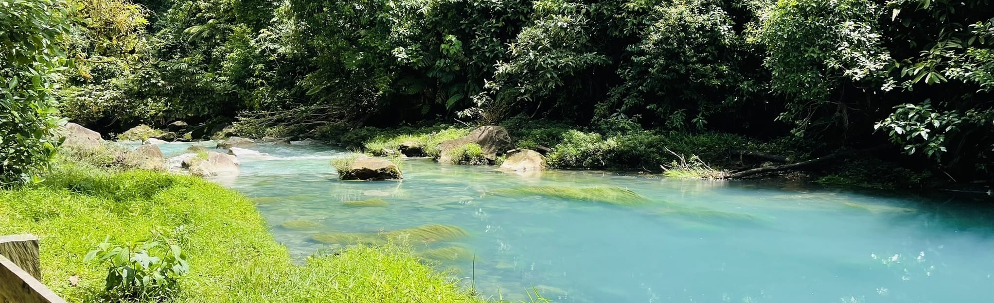 Mysteries of Tenorio Trail, Alajuela, Costa Rica - 759 Reviews, Map ...