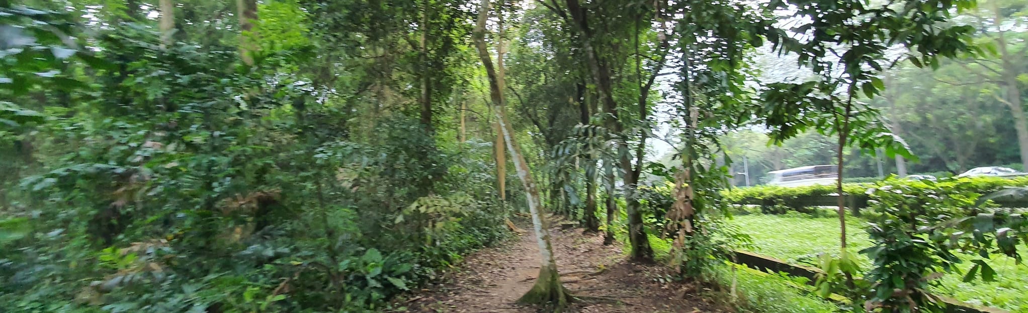 Bukit Brown - Sin Heng San Temple, Central, Singapore - 17 Reviews, Map ...