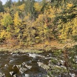 Contoocook River Trail, New Hampshire - 125 Reviews, Map | AllTrails