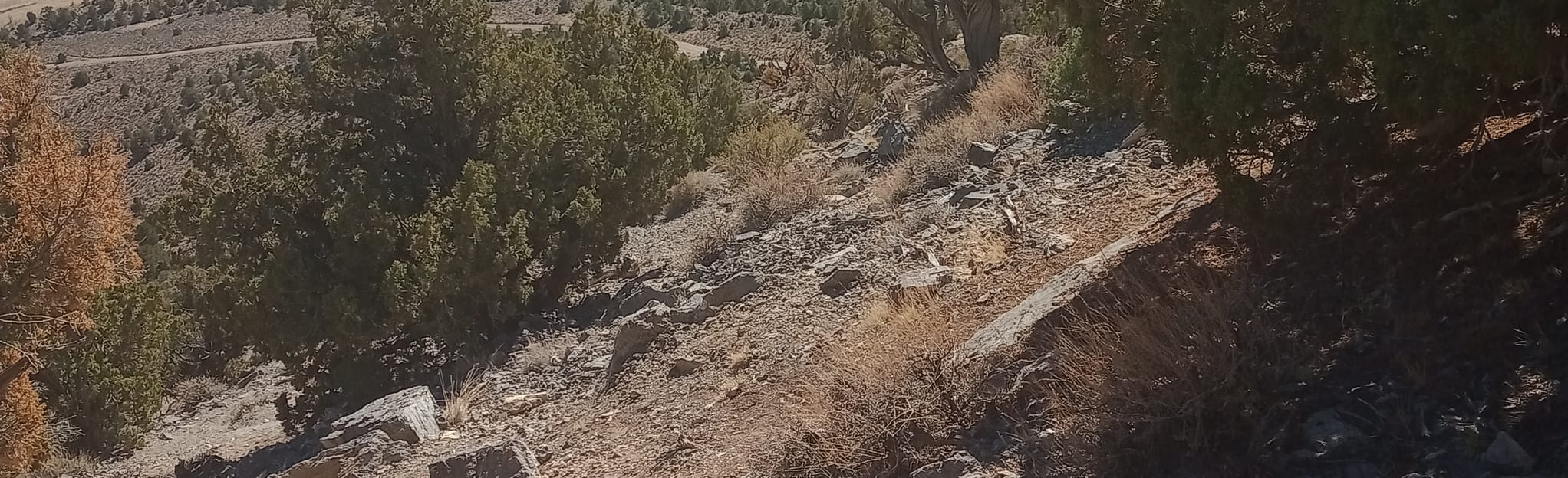 Goshute Cave Trail | Map, Guide - Nevada | AllTrails