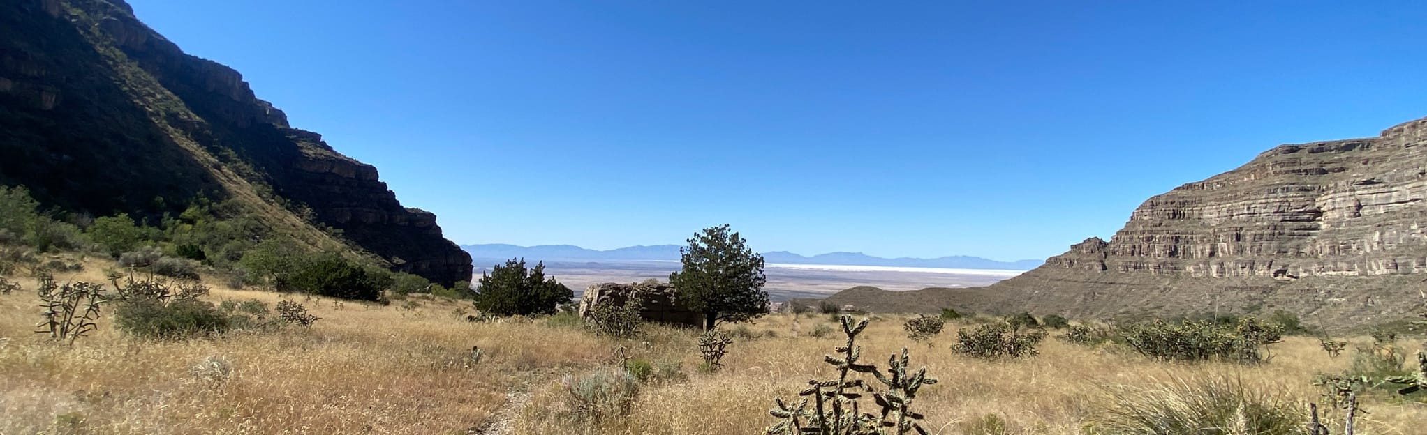 Dog Canyon Trail 106: 345 Reviews, Map - New Mexico | AllTrails