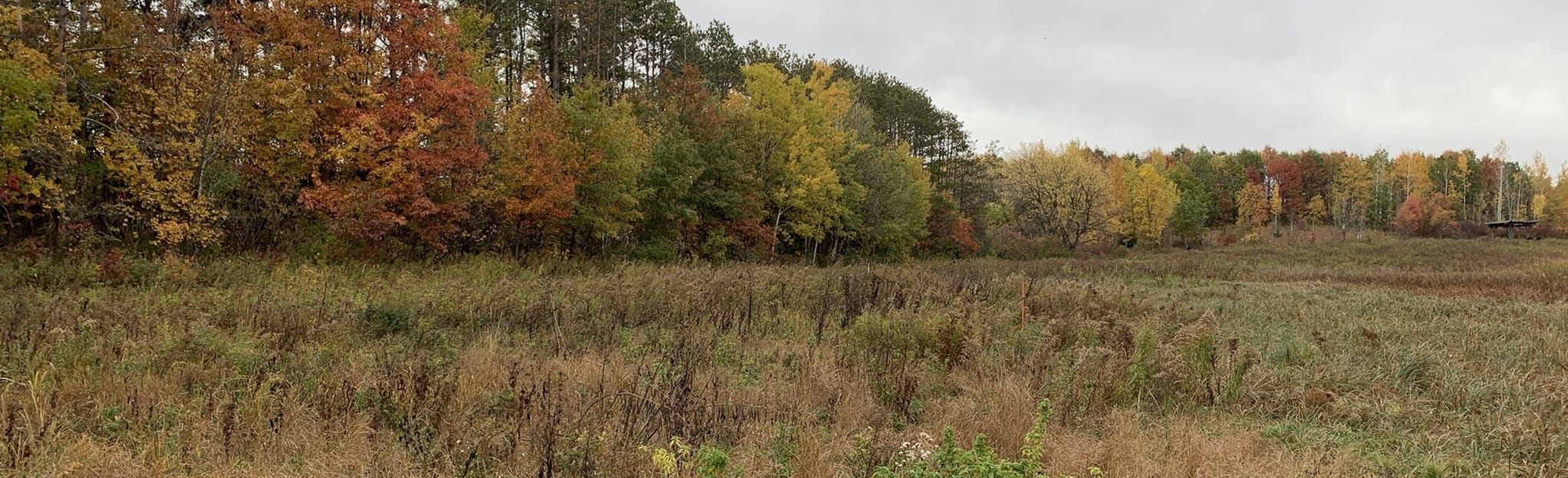 Spring Peeper Trail, Minnesota - 32 Reviews, Map | AllTrails