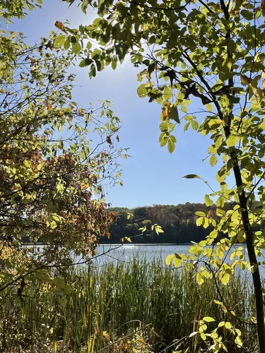 Best Hikes and Trails in Fish Lake Regional Park | AllTrails