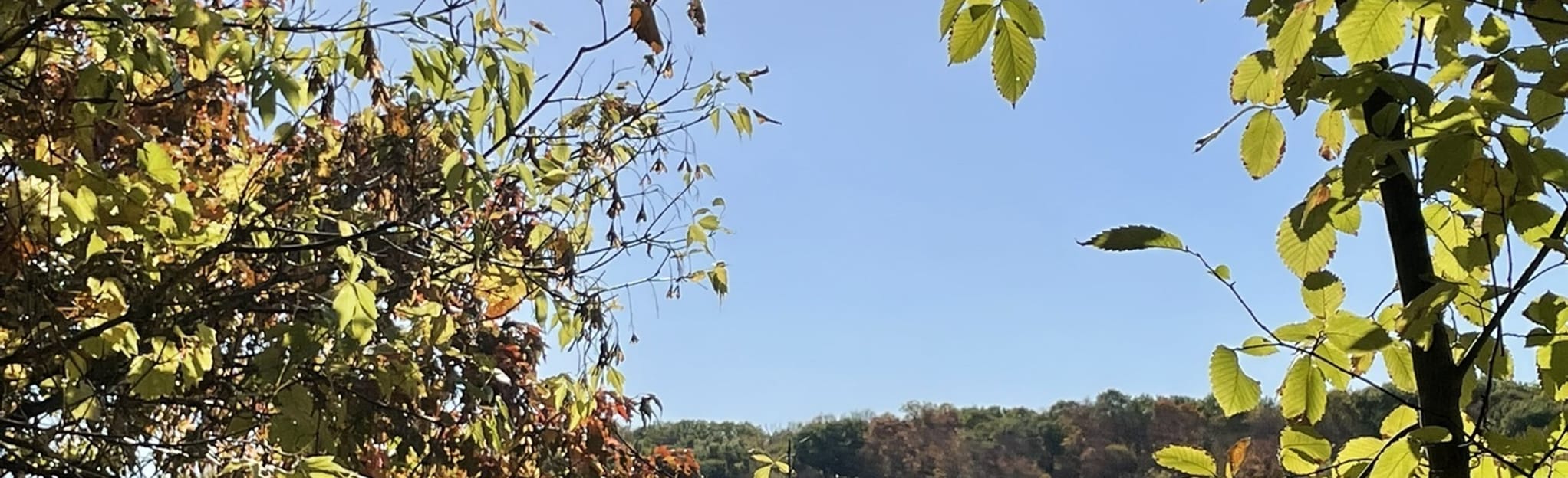 Fish Lake Trail, Minnesota - 413 Reviews, Map | AllTrails