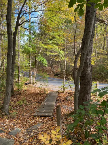 10 Best Trails and Hikes in Boiling Springs | AllTrails