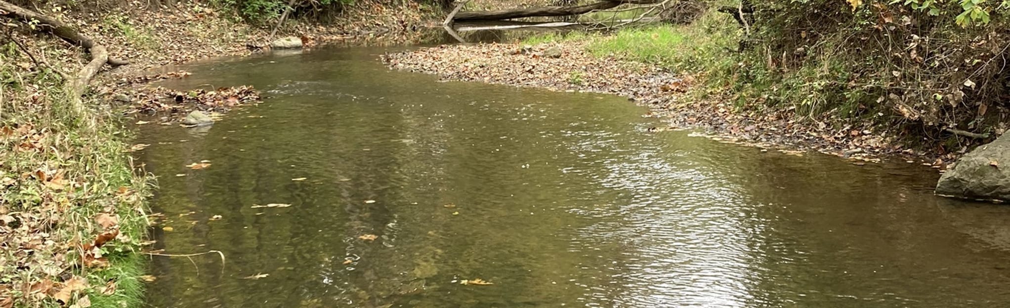 Eidson Woods Preserve Loop, Ohio - 19 Reviews, Map | AllTrails