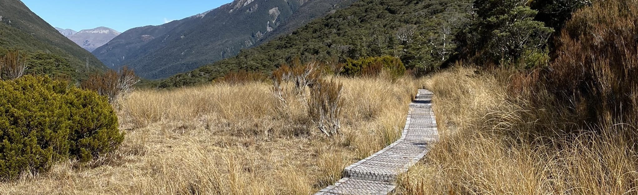 Bealey Valley Track, Canterbury, New Zealand - 78 Reviews, Map | AllTrails