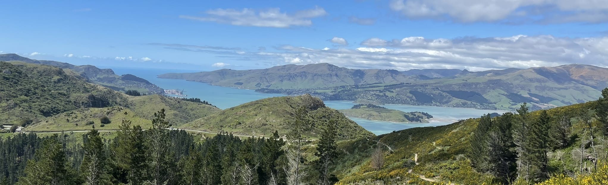 Christchurch Adventure Park Walking Track, Canterbury, New Zealand ...