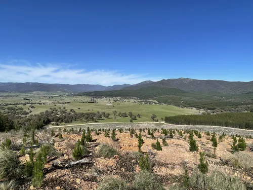 10 Best Hikes and Trails in Bullen Range Nature Reserve | AllTrails