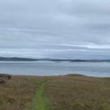 Cattle Point Trail, Washington - 121 Reviews, Map | AllTrails