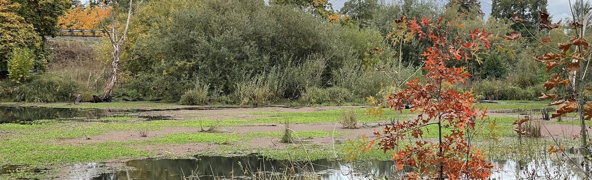 Delta Ponds Trail: 205 Reviews, Map - Oregon | AllTrails