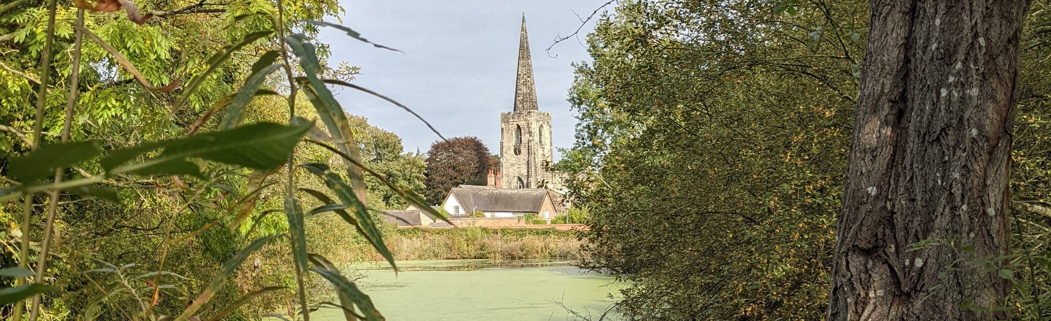 Long Eaton and Attenborough Nature Reserve Circular: 8 Reviews, Map ...