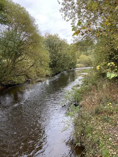 Best Hikes and Trails in Reddish Vale Country Park | AllTrails