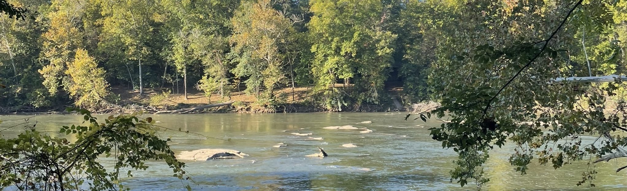 Baxter Village Trail : 262 foto's - South Carolina | AllTrails