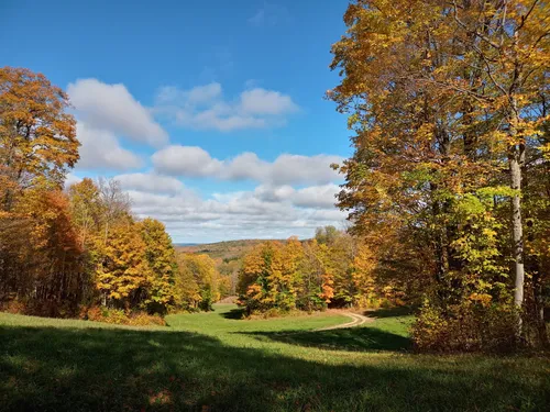 10 Best Hikes and Trails in Copeland Forest | AllTrails