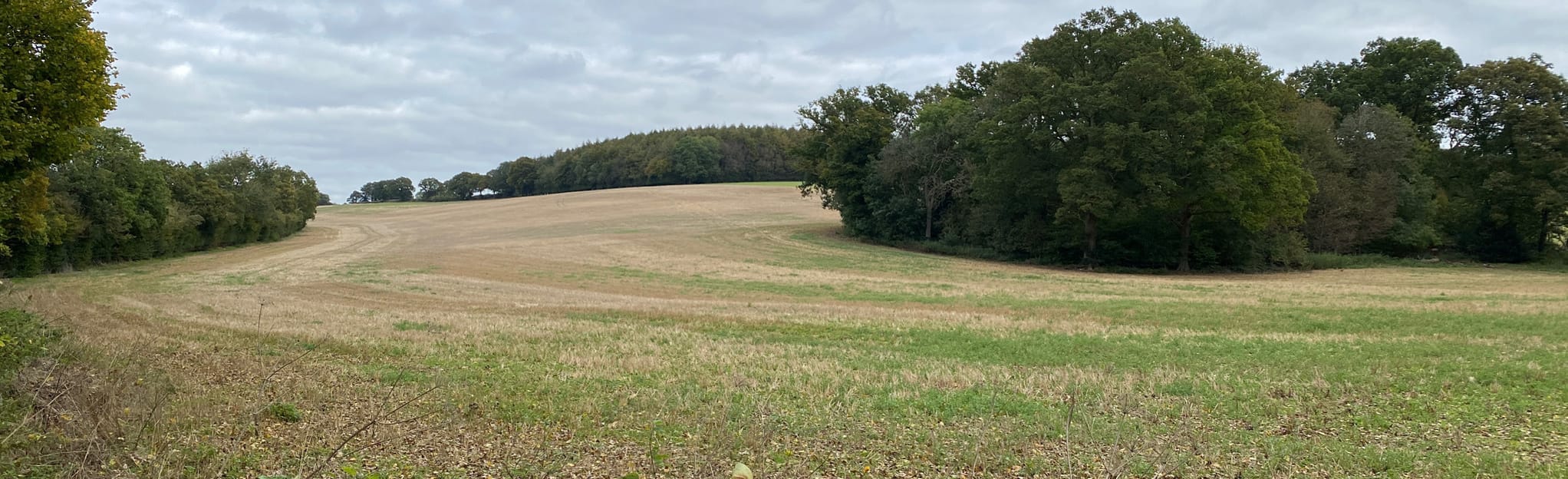 Chorley Estate, River Chess, and Turveylane Wood Circular ...