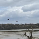 Fingringhoe Wick Wildlife Reserve Walk, Essex, England - 54 Reviews ...