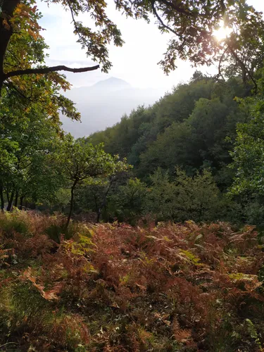 Best regional nature parks in Campania, Italy | AllTrails