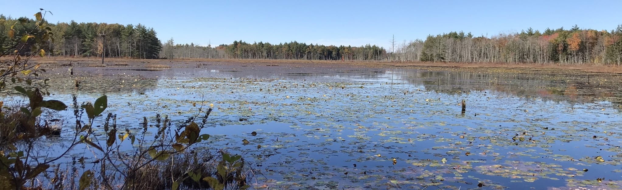 Deer Hill WMA Loop, New Hampshire - 45 Reviews, Map | AllTrails