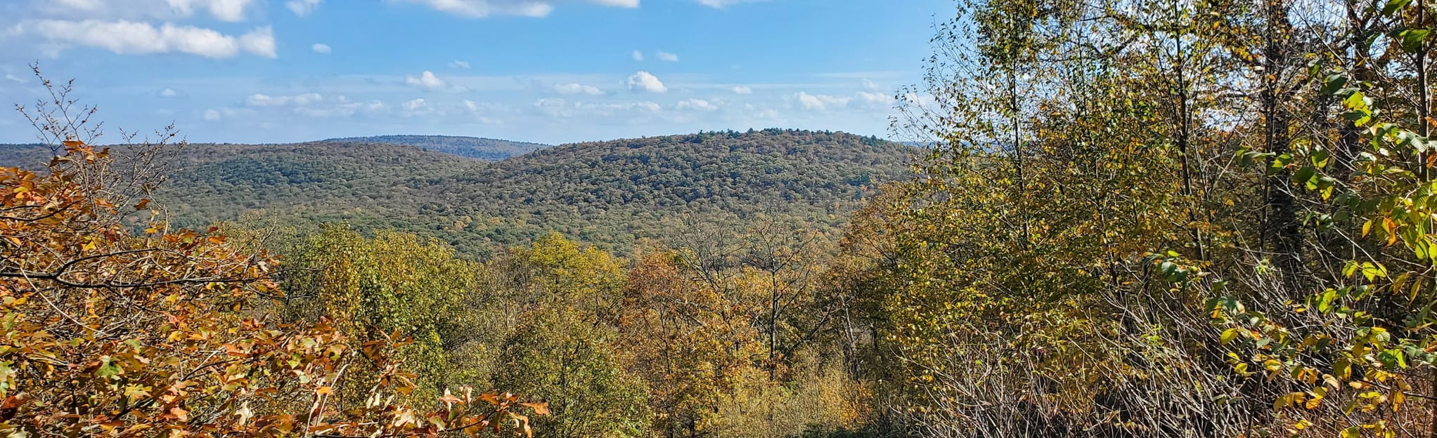 Bear Meadows to Mid-State Loop: 8 Reviews, Map - Pennsylvania | AllTrails