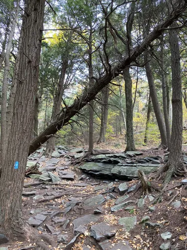 Best Hikes and Trails in Susan B. Minns Sanctuary | AllTrails