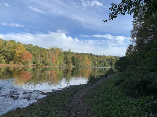 Best Hikes and Trails in Lake Mohegan Recreation Area | AllTrails
