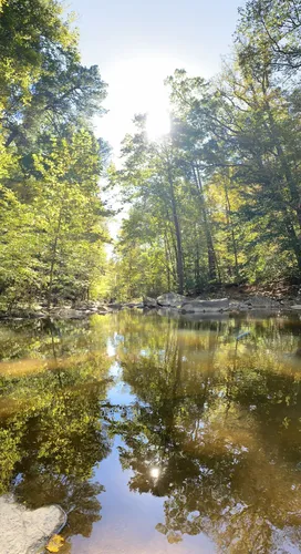 10 Best Trail Running Trails in William B. Umstead State Park | AllTrails